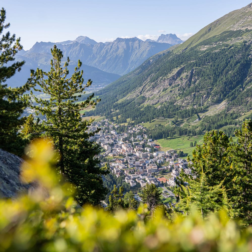 Guide | Pontresina im Engadin